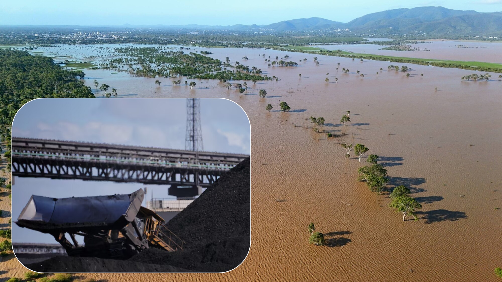 Central Queensland conservation group wants to see more transparency on ...