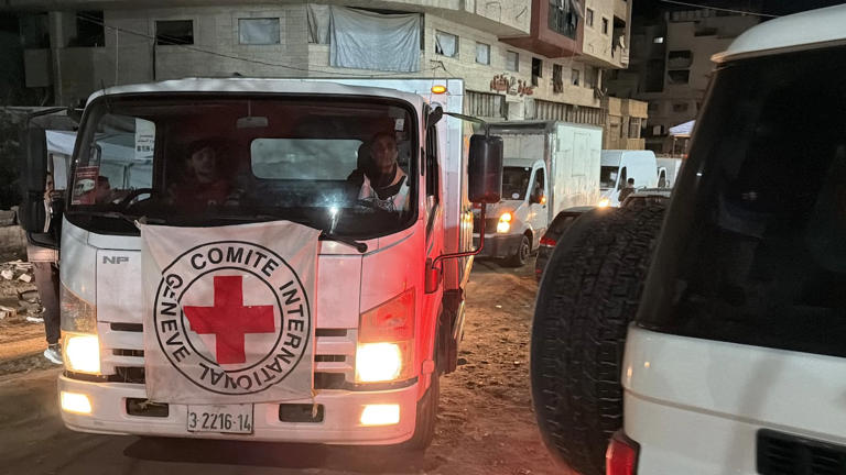 54 bodies, 66 boxes of remains released by Israel, Gaza Health Ministry ...