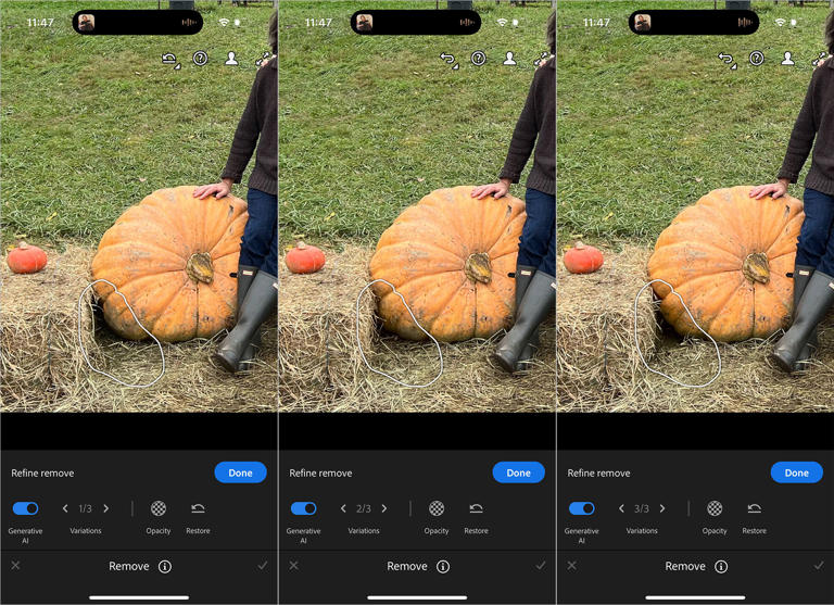 Apple's clean up tool can fix distractions in your photos