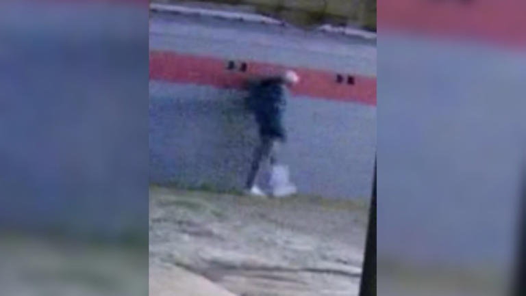 Harrison Co. Sheriff’s Office releases video of suspected Saucier Ball ...