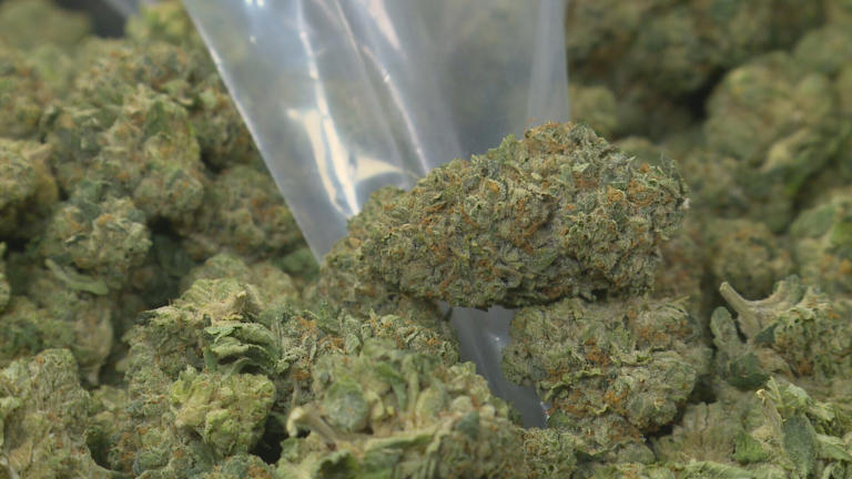 FL Supreme Court won’t consider text of recreational marijuana ...