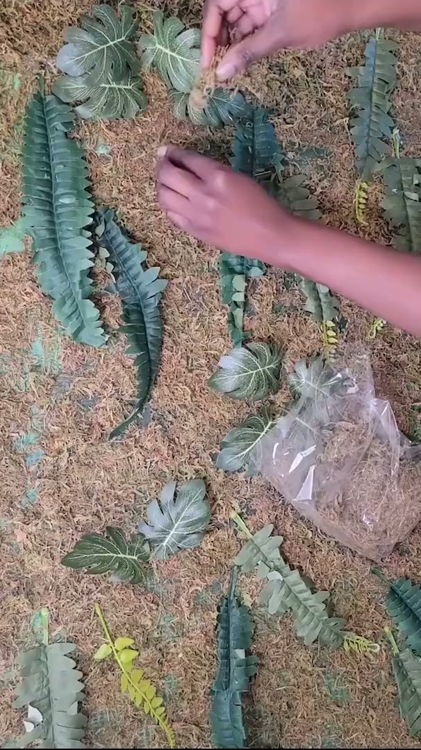 Turn Dollar Tree poster board & moss into this! 😍