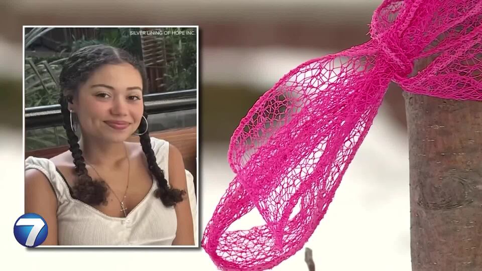 Indiana community covers blocks in pink to remember 17-year-old girl ...