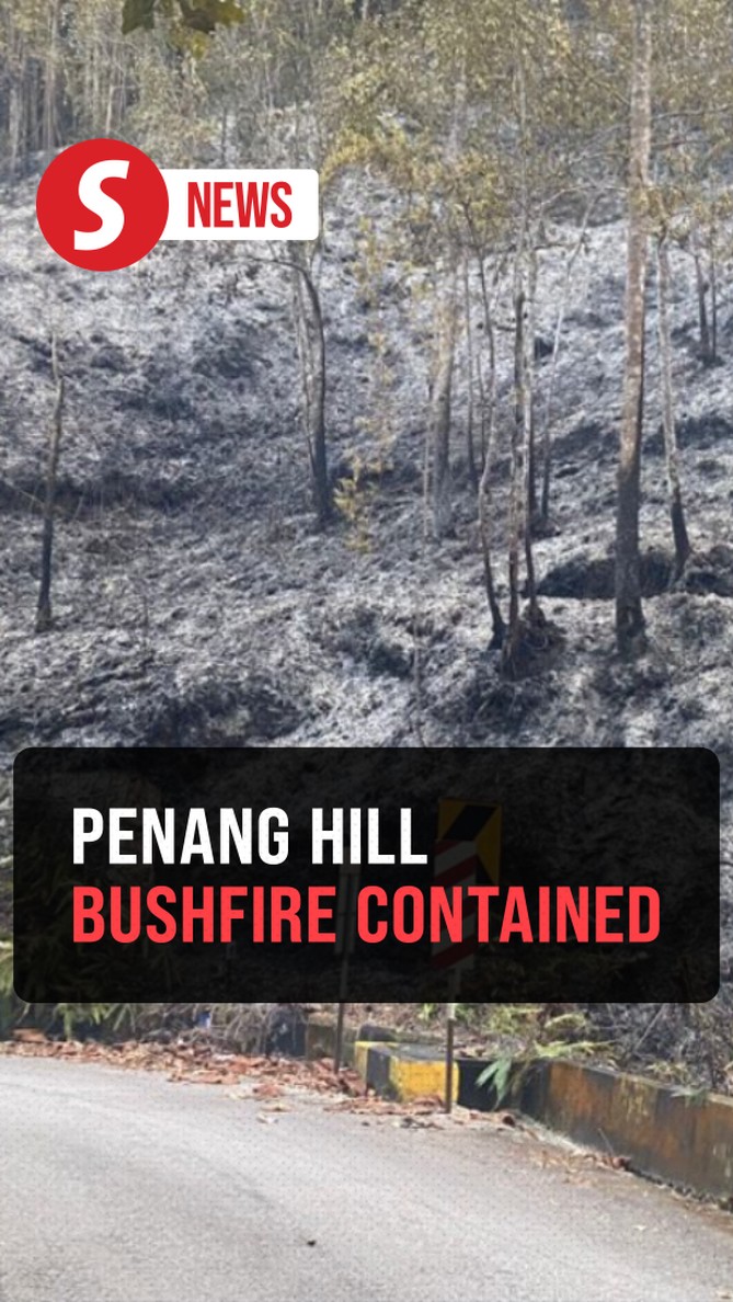 Five-hectare bushfire along Penang Hill jeep track brought under control