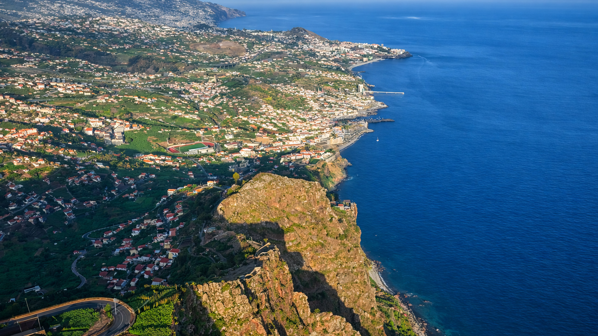 How is life built on these cliffs?