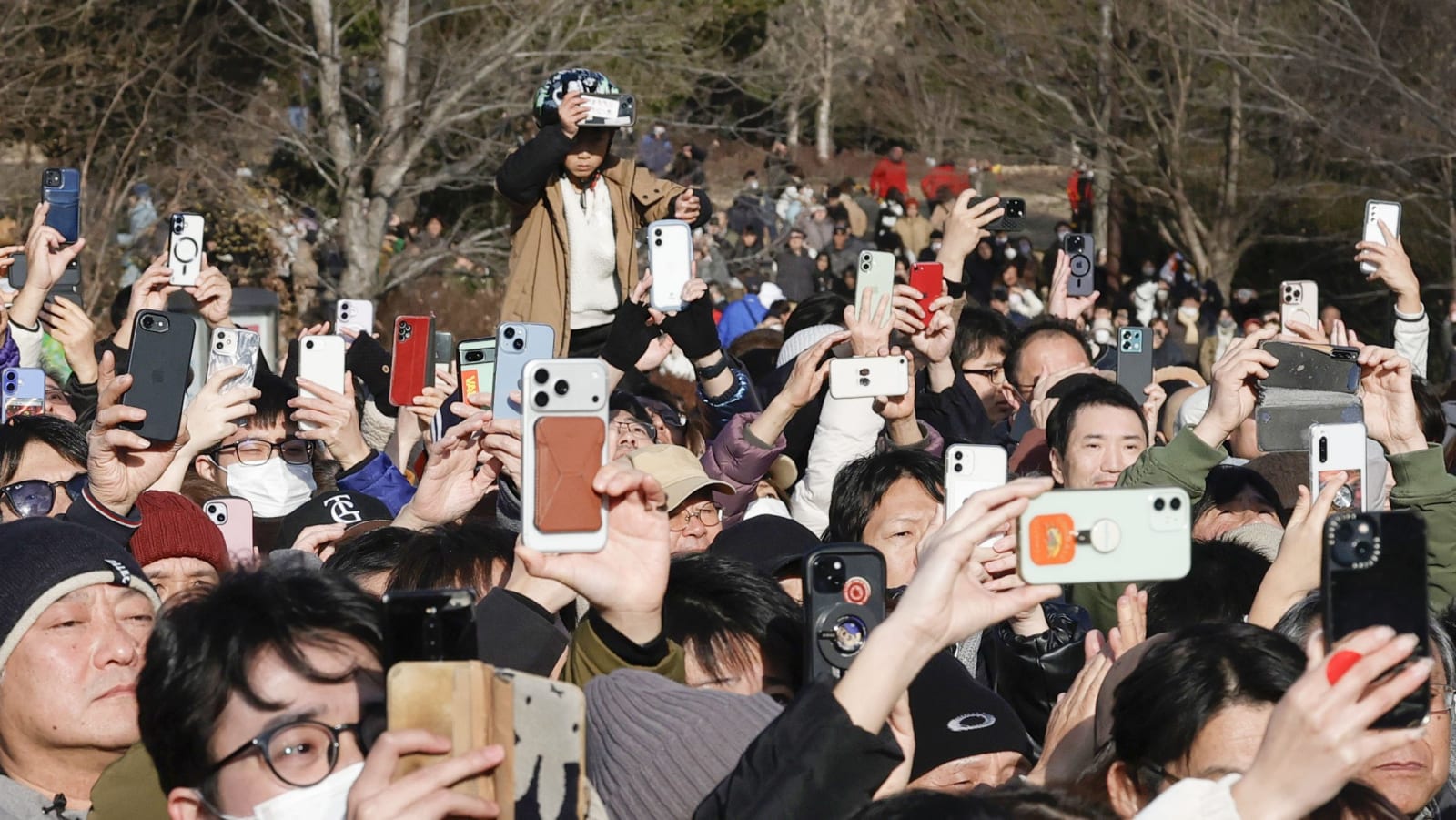 Focus: Short Japan election raises social media campaigning stakes