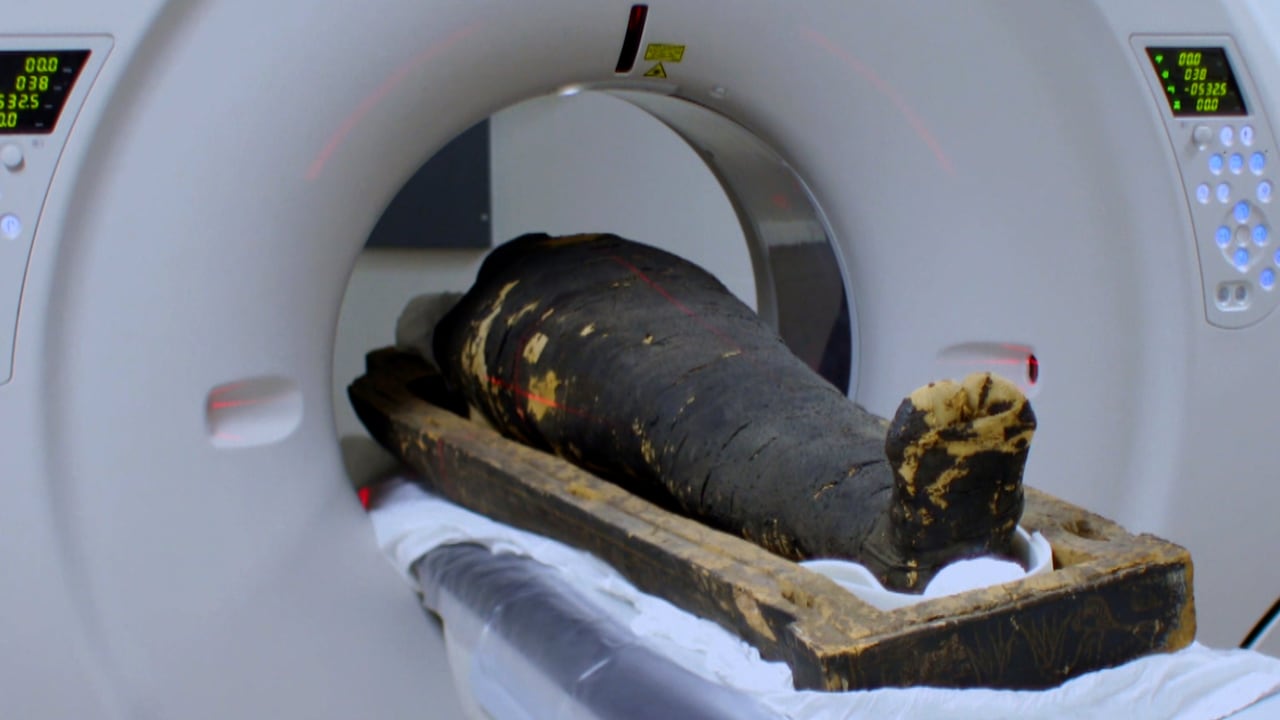 #TheMoment Egyptian mummies got a CT scan