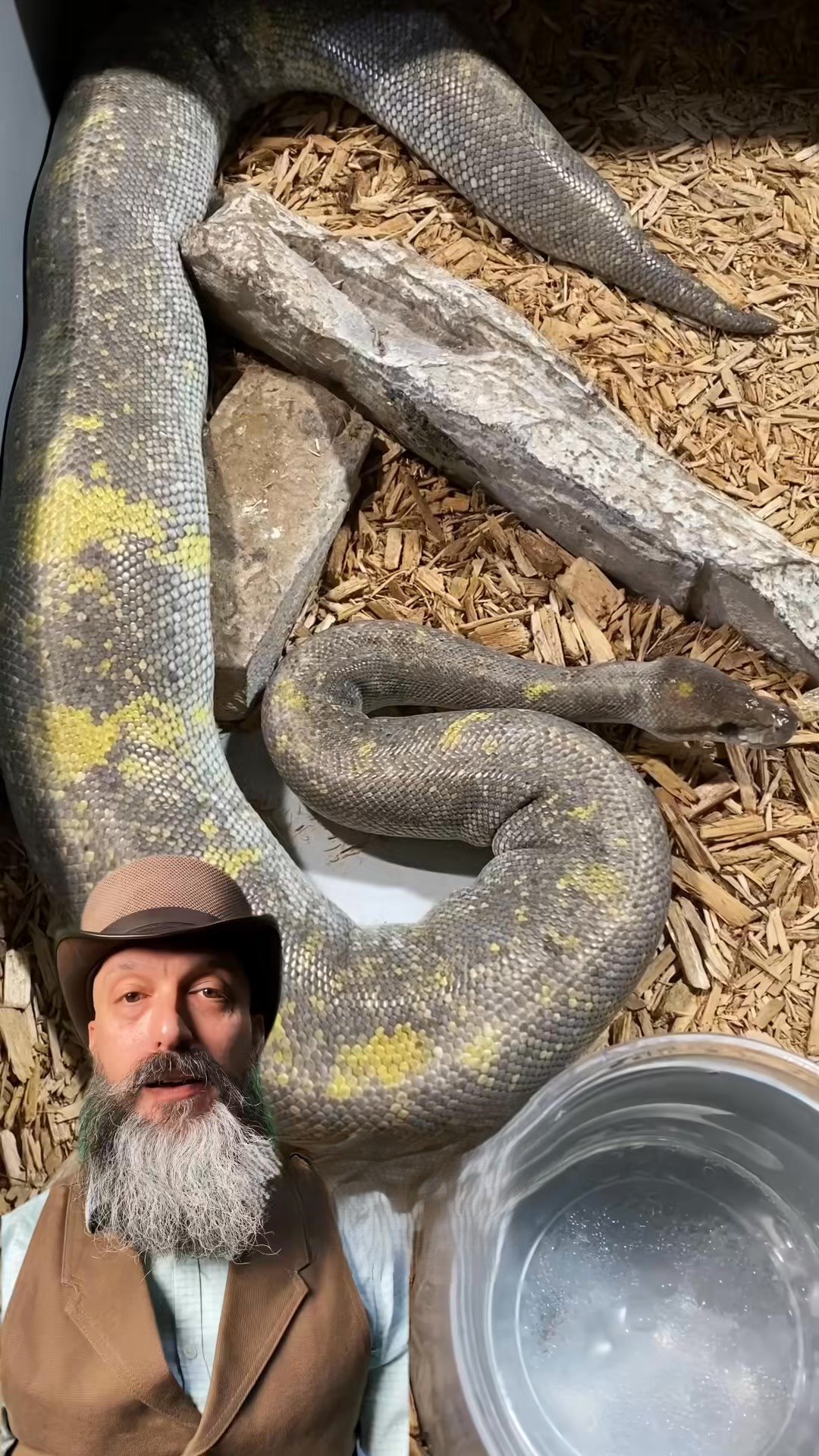 Let's try a little snake experiment!