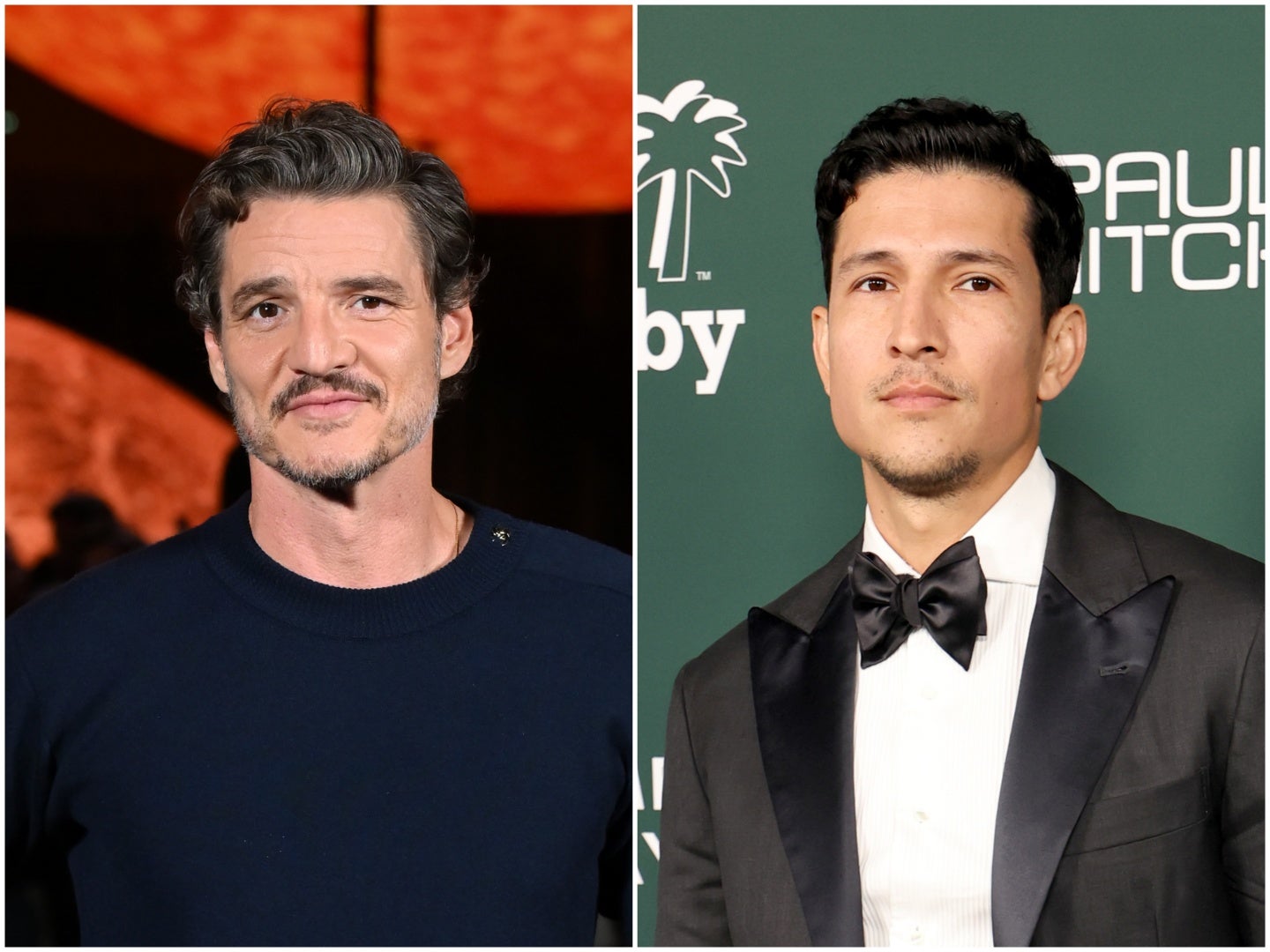 Pedro Pascal saves Todd Haynes’ gay romance after Joaquin Phoenix exit