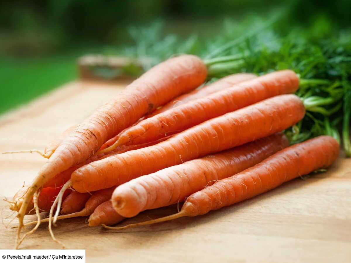 Pourquoi dit-on que « les carottes sont cuites
