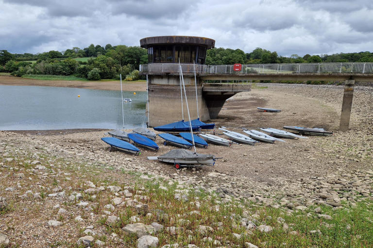 South East Water lifts hosepipe ban in Kent and Sussex