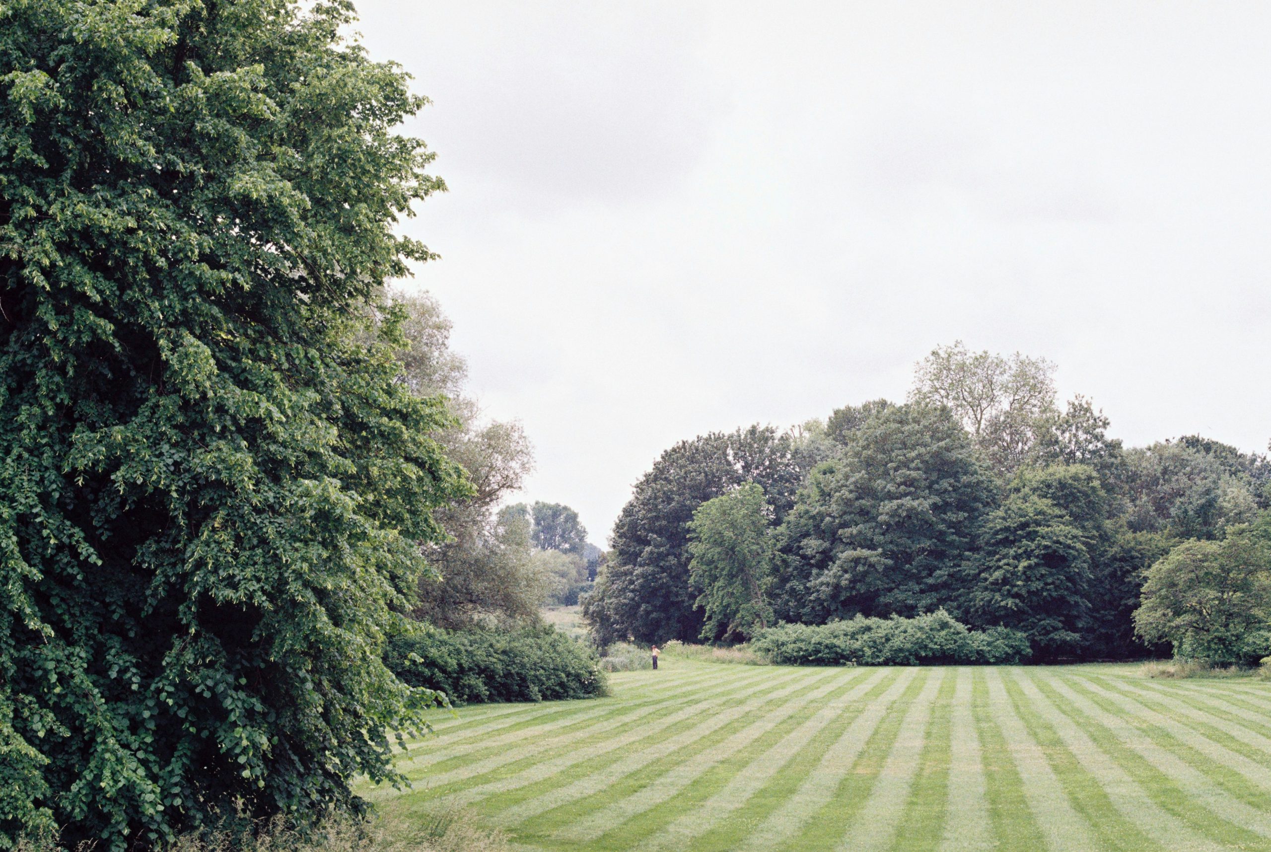 Lawn care habits that damage grass