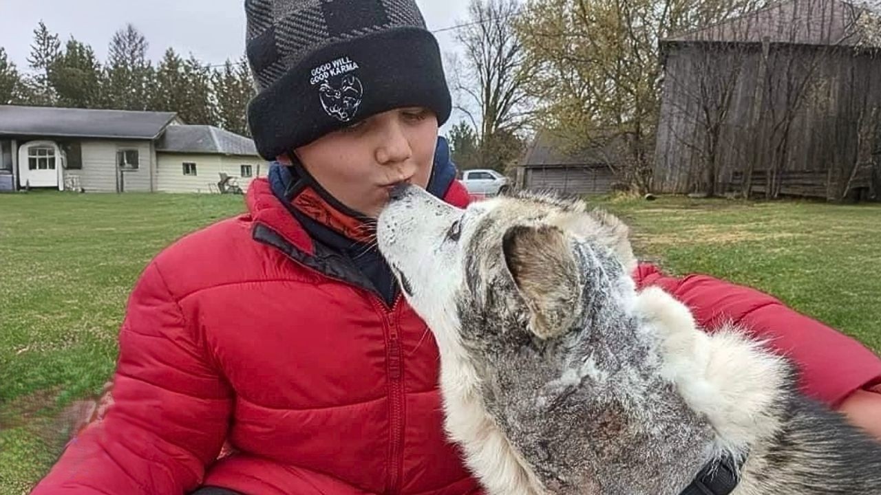 He spent 11 years outside - until someone finally let him in