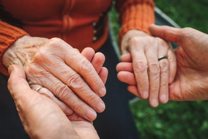 Daily 30g 'handful' rule could help cut dementia risk