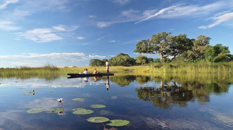17 world-class places to watch wildlife in the wild