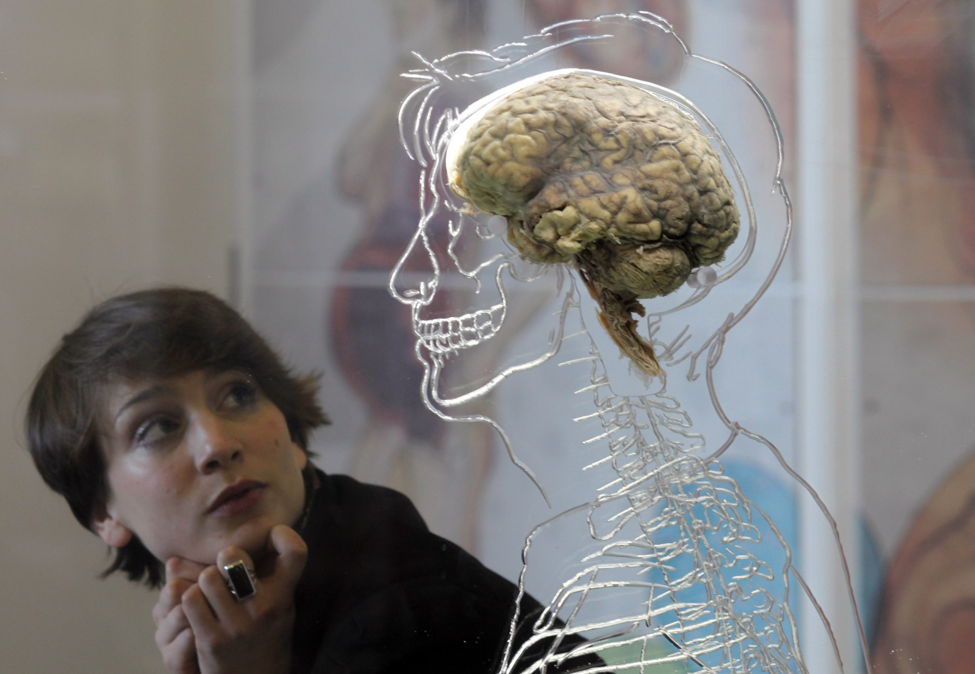Are you left-brained or right-brained?
