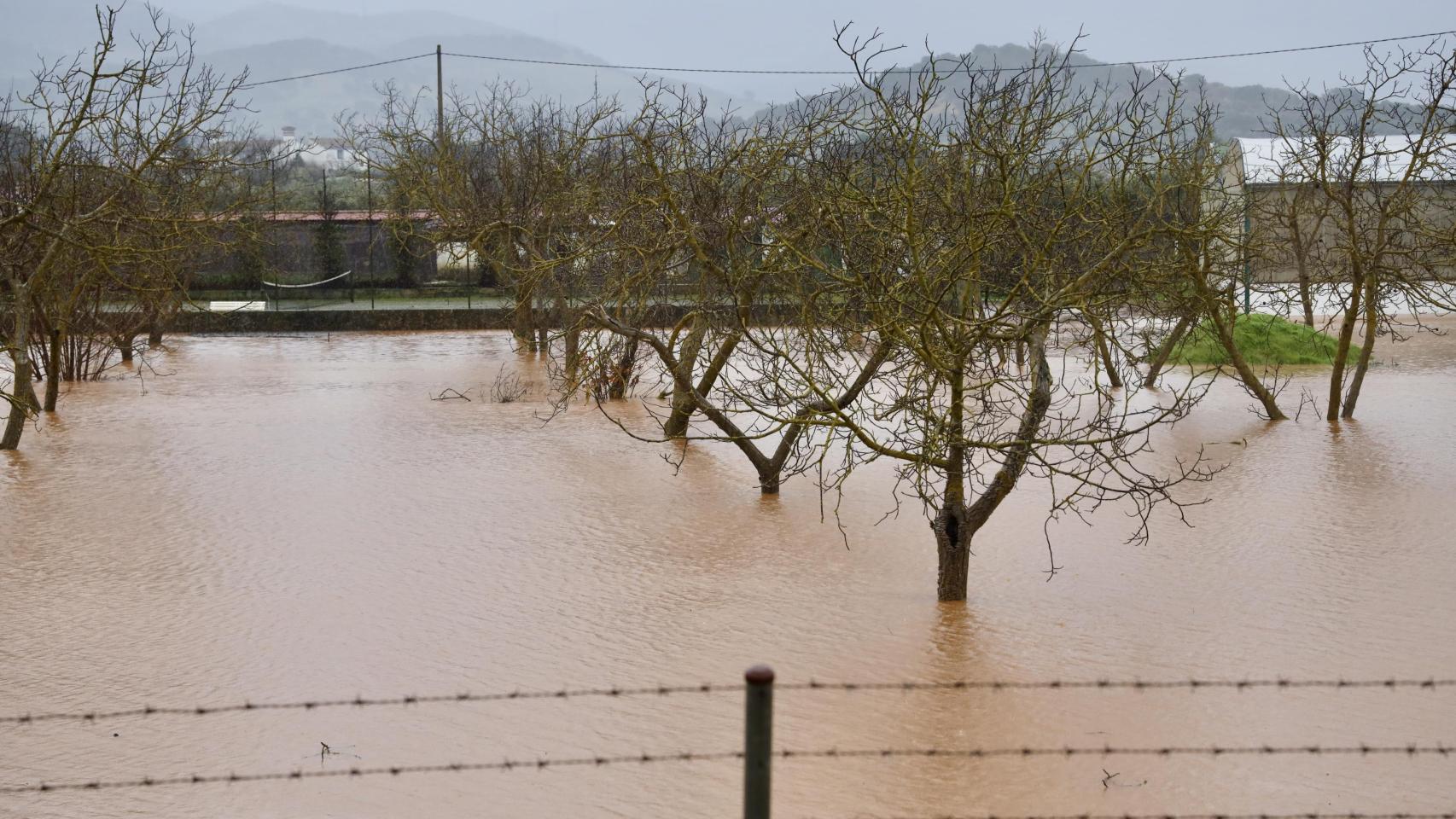 Las lluvias de las últimas semanas cambian el mapa hídrico de Málaga ...