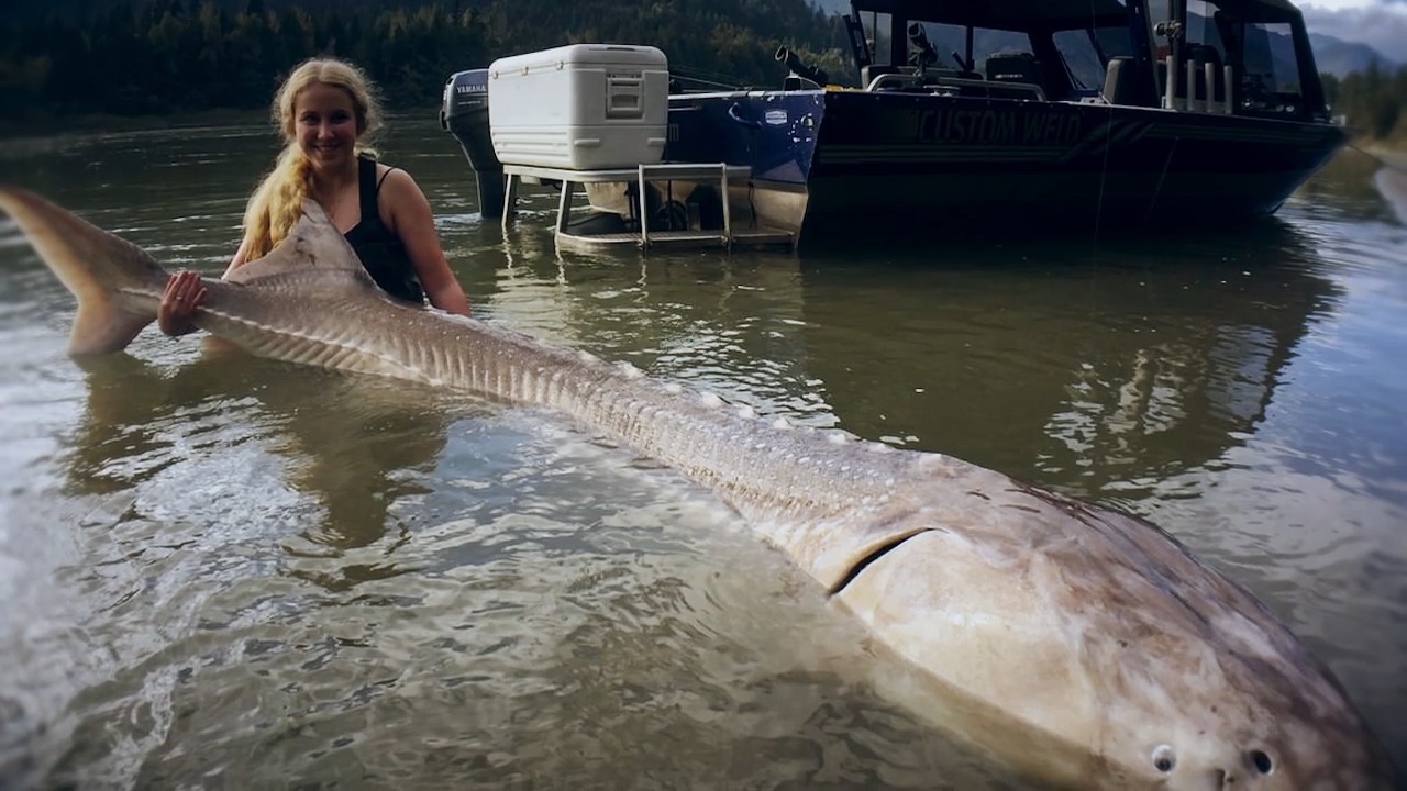Lake Manitoba has a monster - according to locals