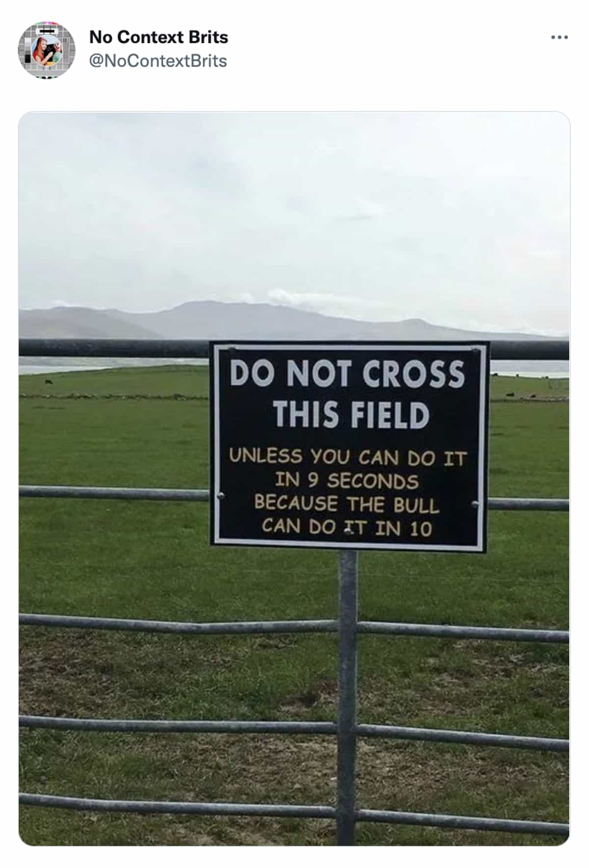 The funniest British signs