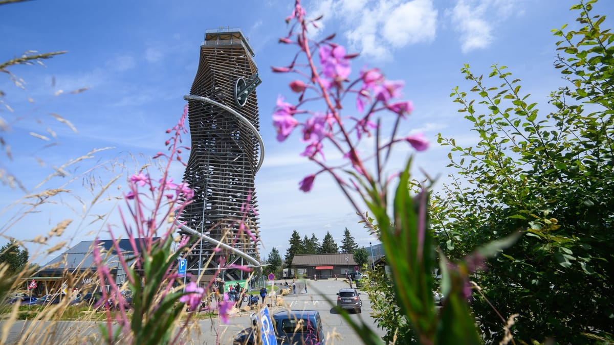 Harzturm lockt mit Skywalk und spektakulärer Aussicht