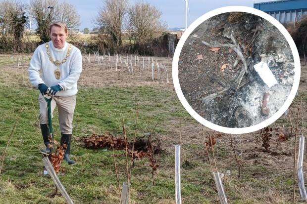Mayor condemns 'mindless destruction' of 200 trees - just a day after ...