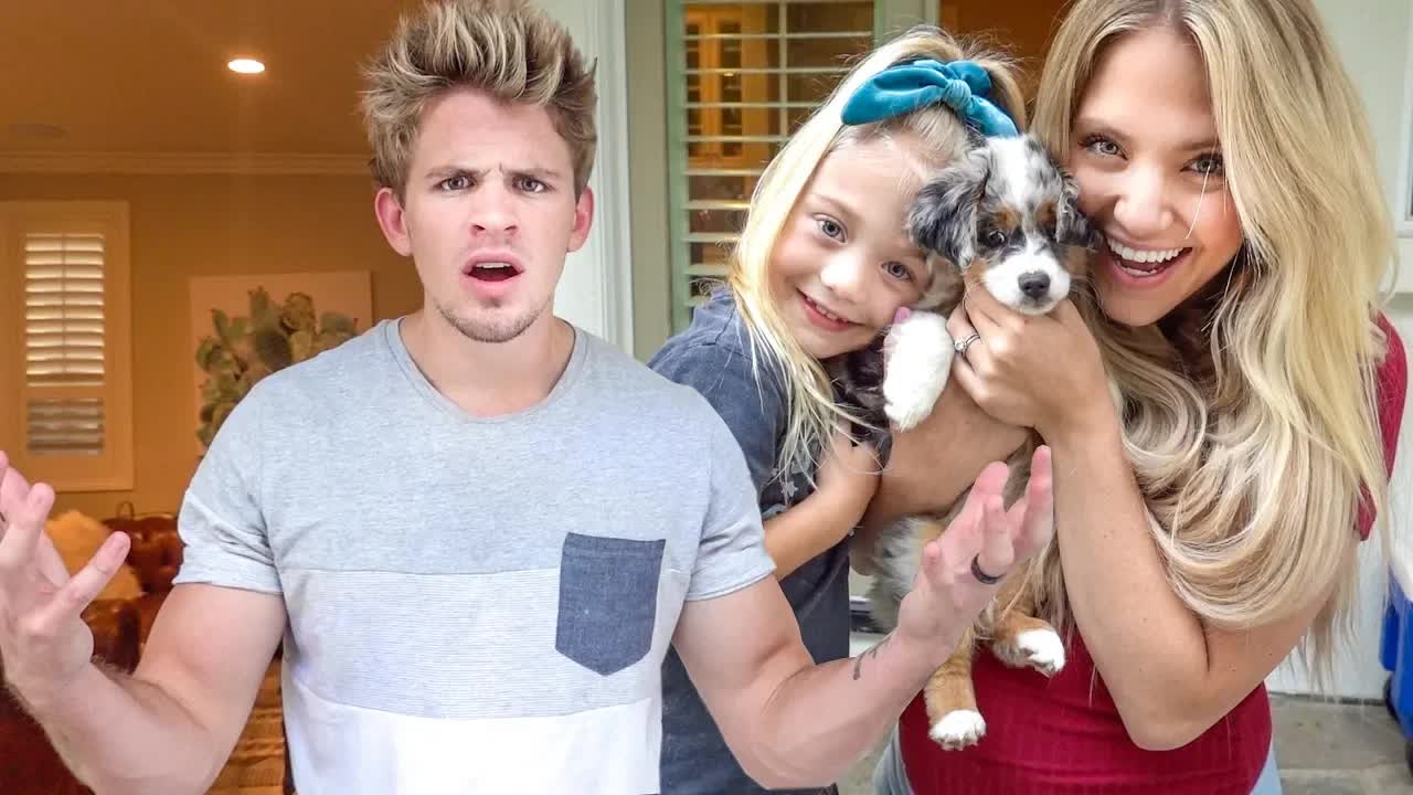 New puppy surprise pranks Cole
