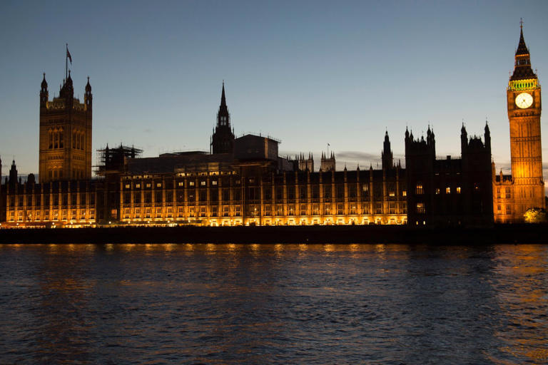 Woman arrested for trespassing after 'hiding in toilet in parliament'