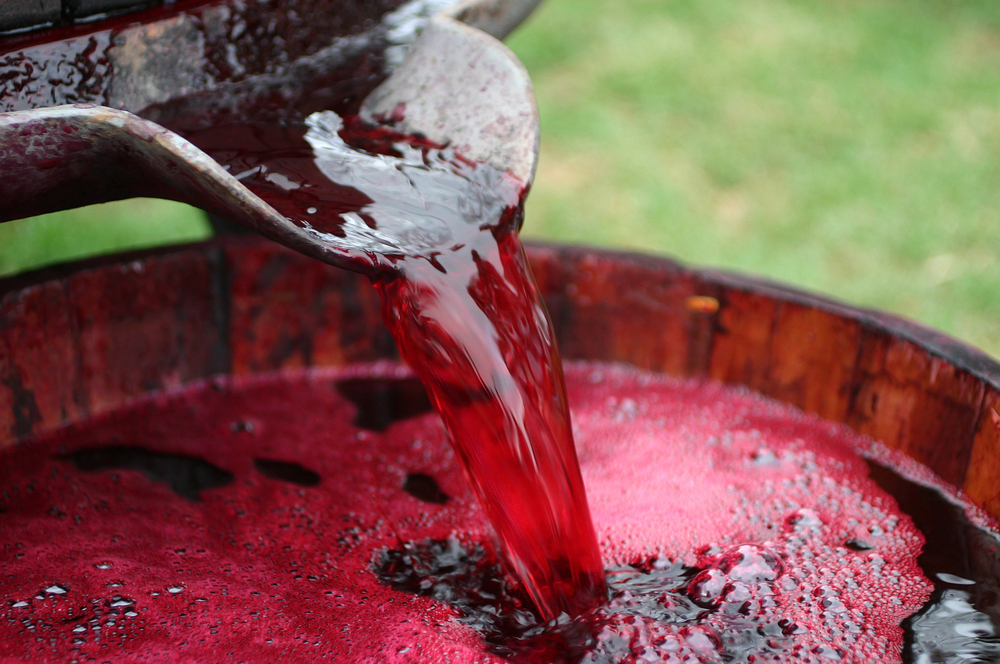 Fascinating secrets about wine making