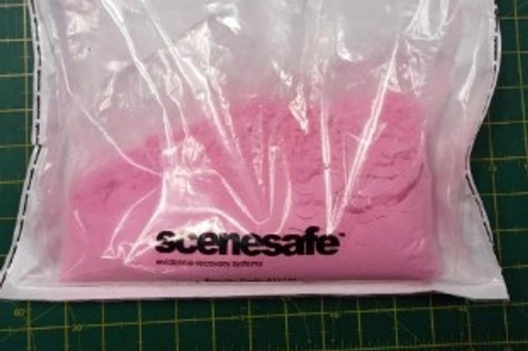 Man ran from police after 'pink cocaine' found at festival