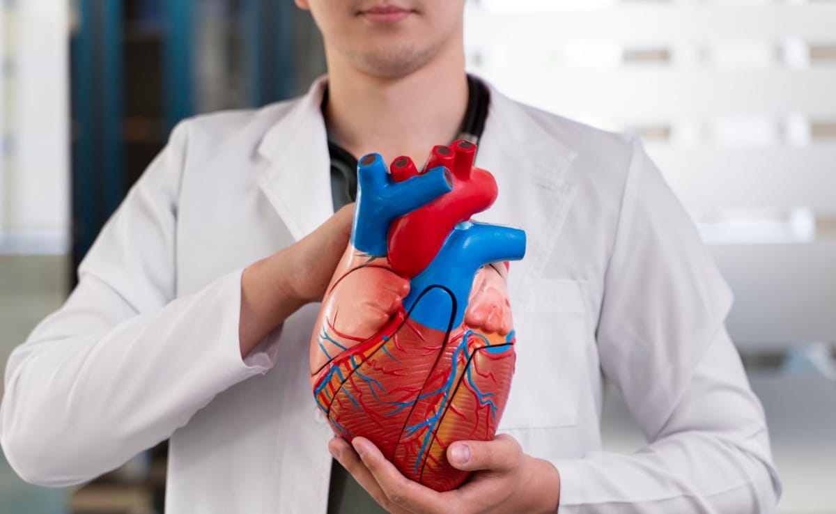 Worried about your heart's health? Make these diet and lifestyle ...