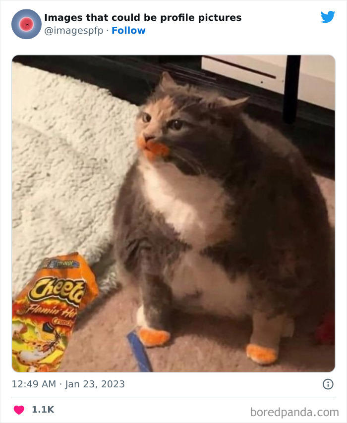 23 of the weirdest and funniest pics shared on the “Images That Could ...