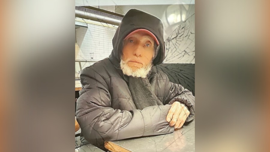 Silver Alert issued for missing 83-year-old last seen walking in Silver ...