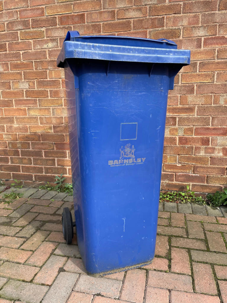 Waste collections in Barnsley now 'back on track' councillors told