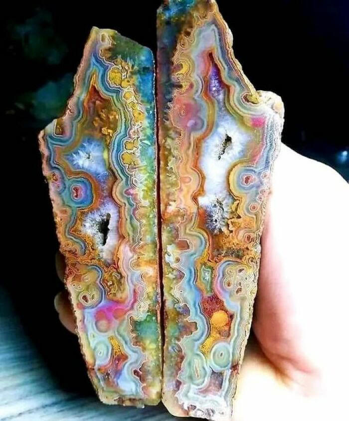 All things strange and unusual: 46 pics from this weird group