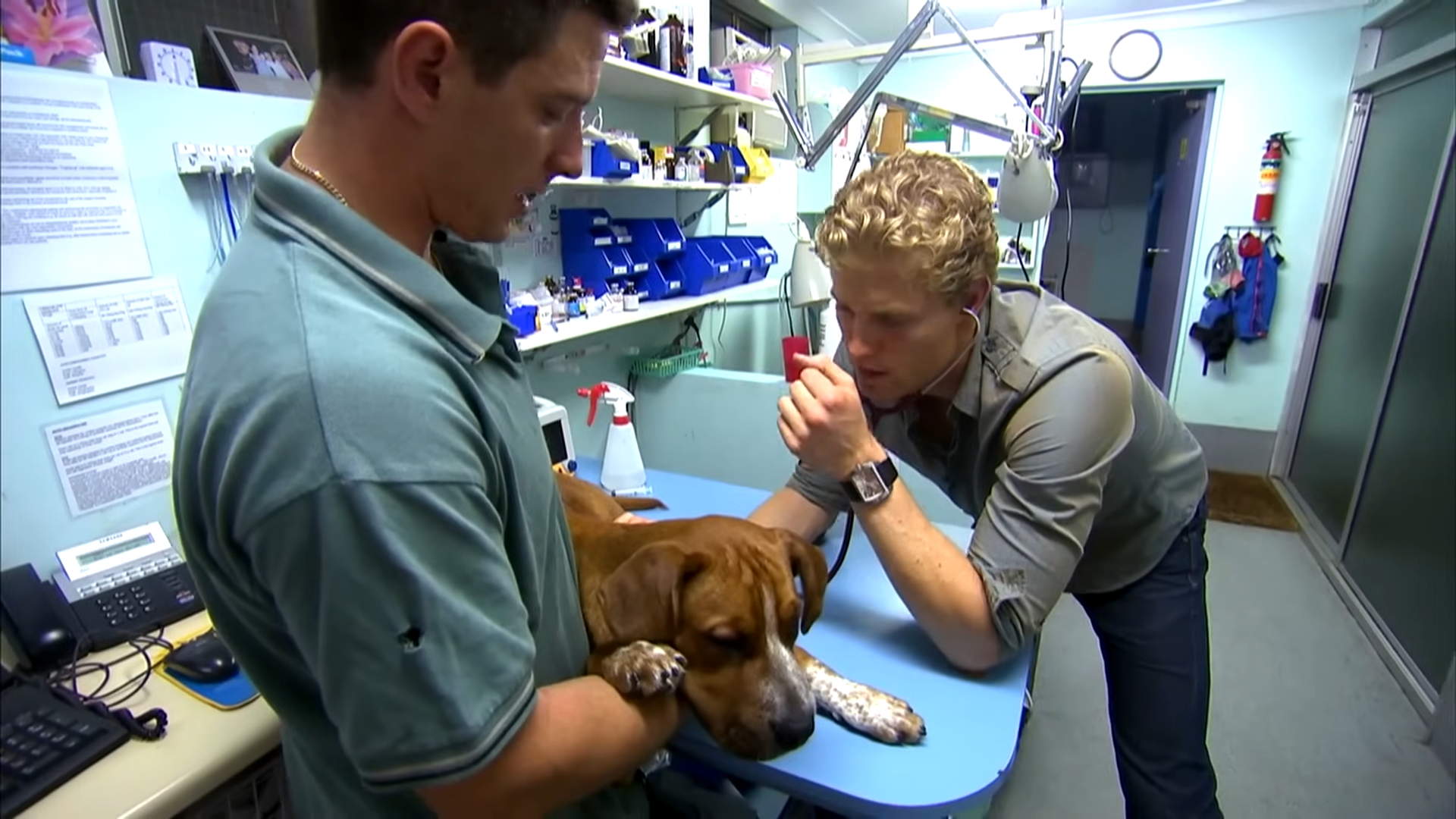 Animals fight for air in their scariest moments – and humans refuse to ...