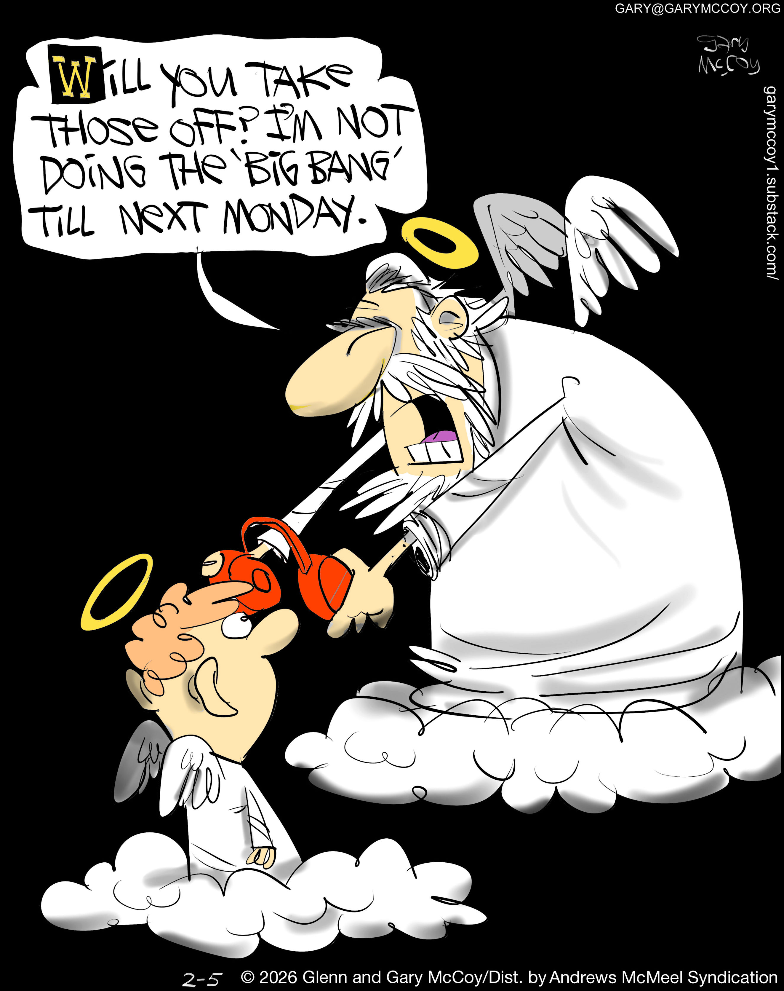 The Flying McCoys by Glenn and Gary McCoy