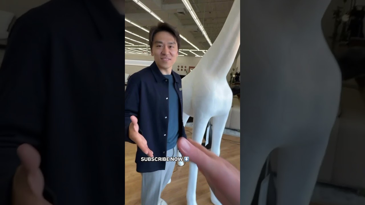 Animal shaped furniture turns home into playful zoo