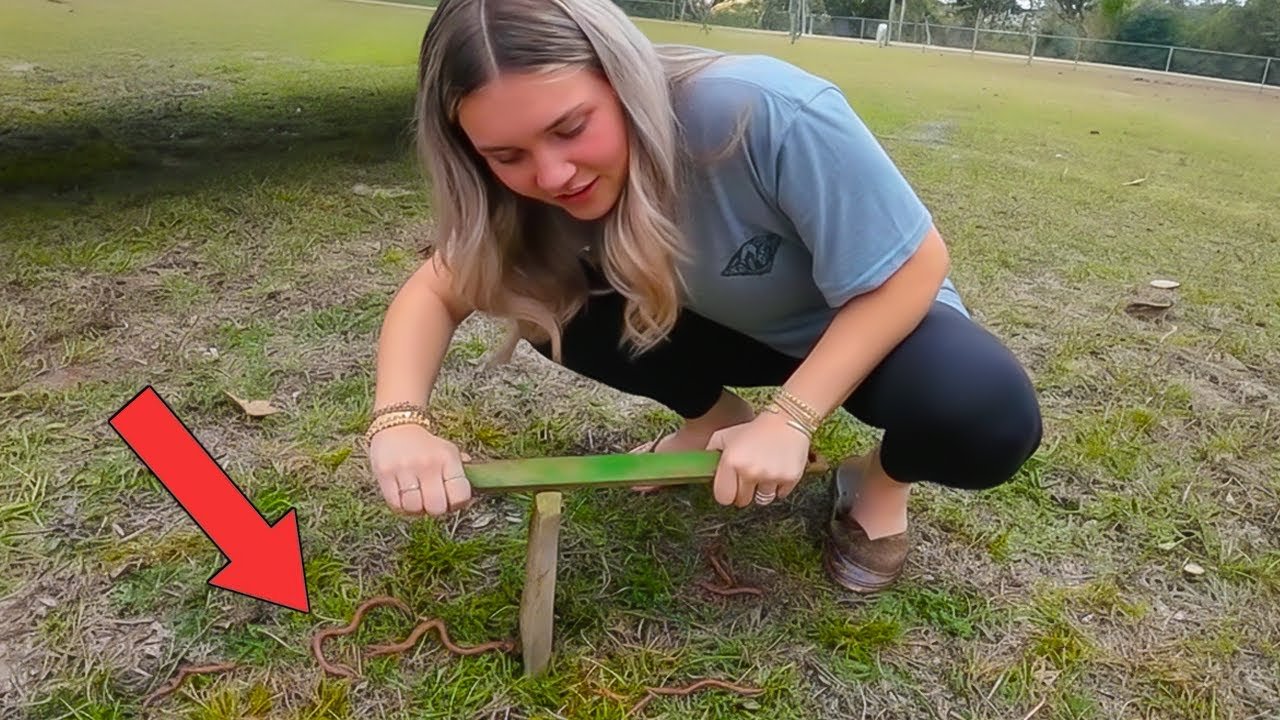 Grunt worms outdoors
