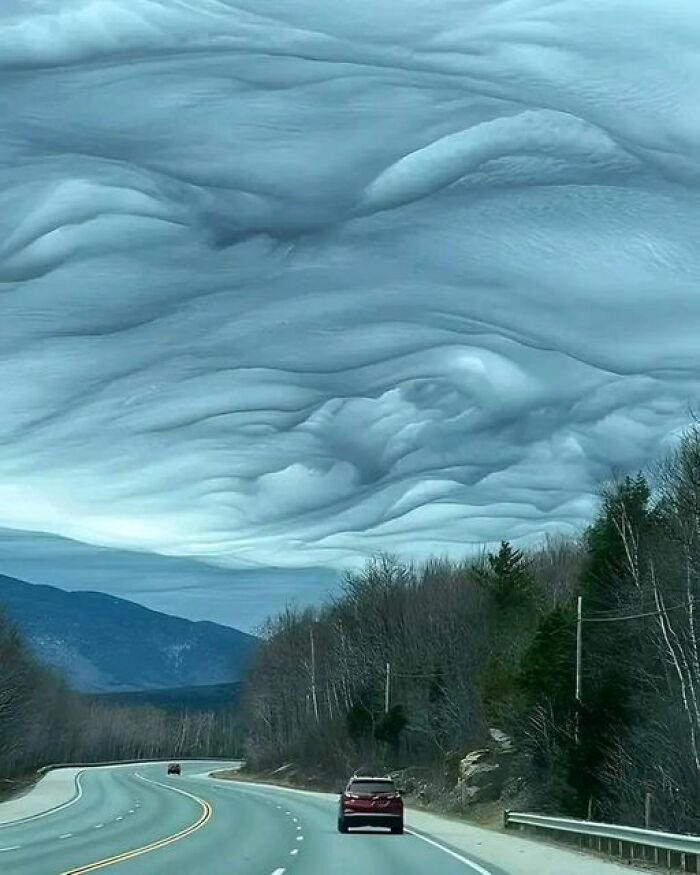 All things strange and unusual: 46 pics from this weird group