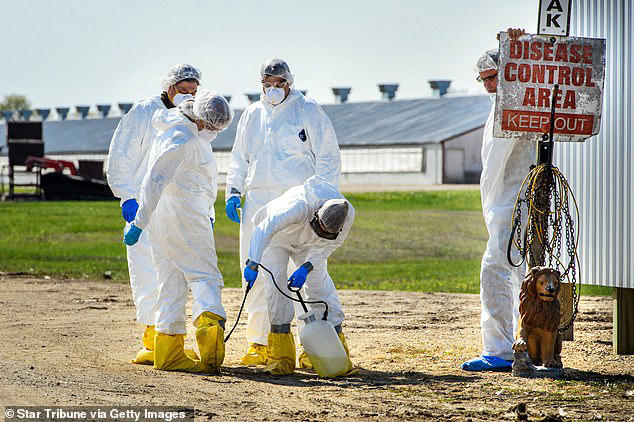 Two new mutant viruses with 'pandemic potential' have been detected ...