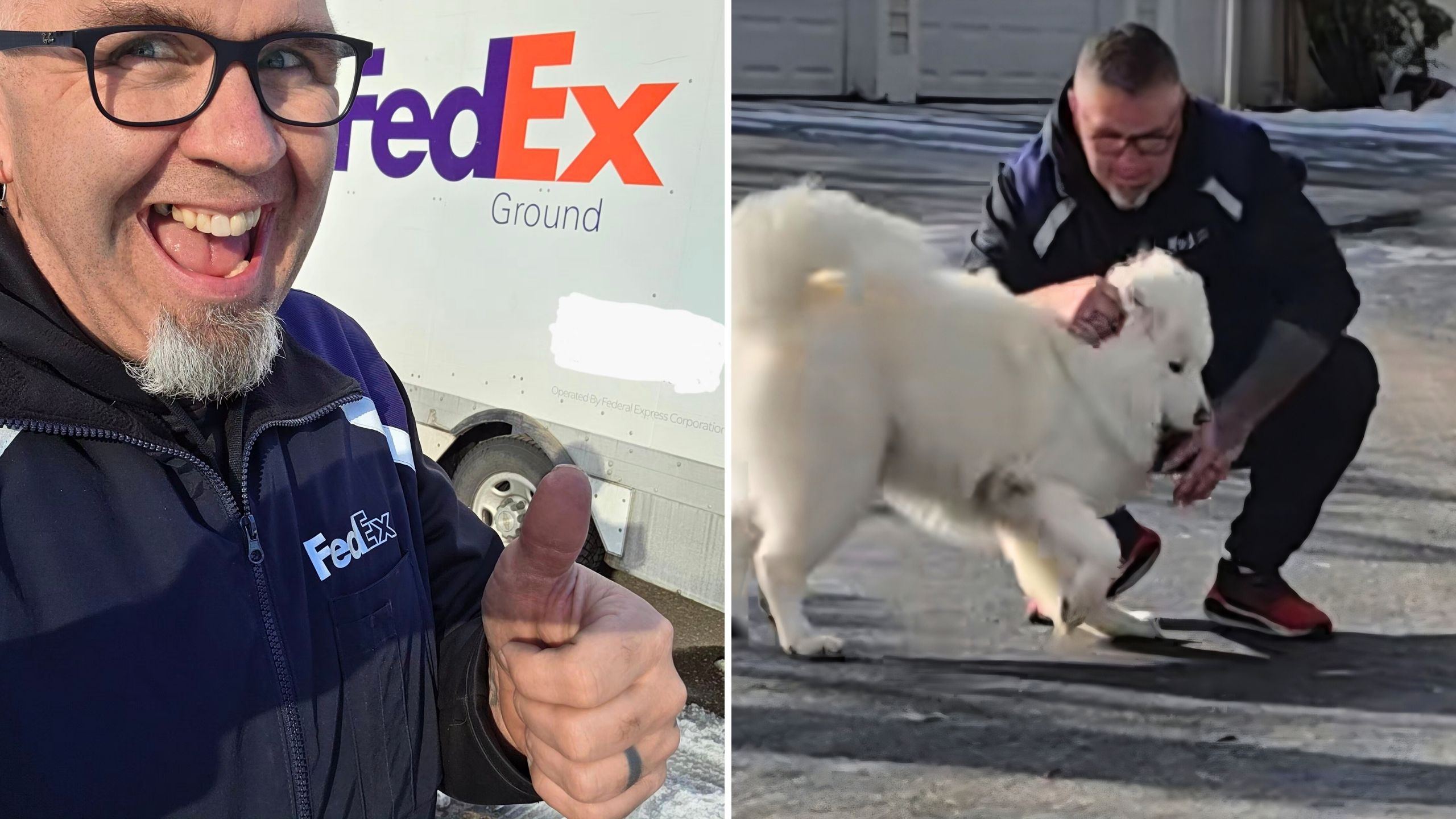 FedEx driver builds wholesome relationship with neighborhood dog ...