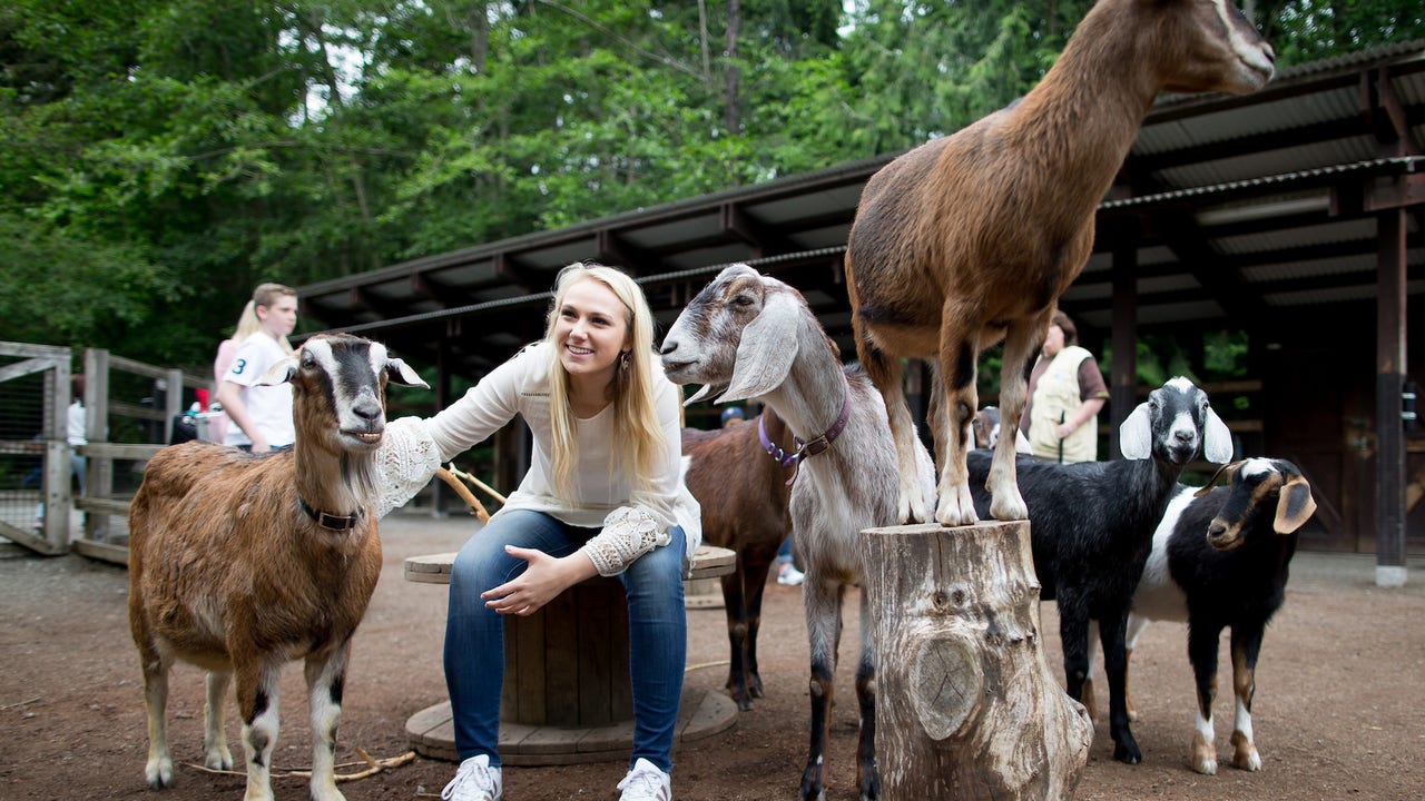 Seattle's Woodland Park Zoo to transform Family Farm into new Wild ...