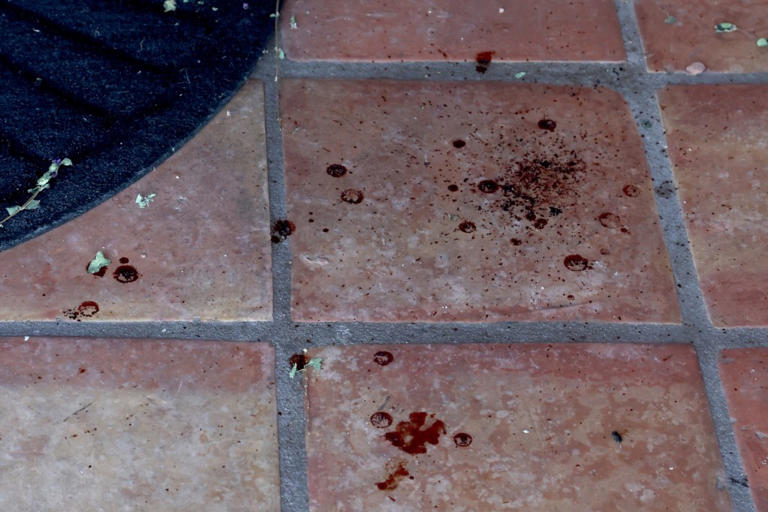 Blood found at Nancy Guthrie’s home belonged to her: police