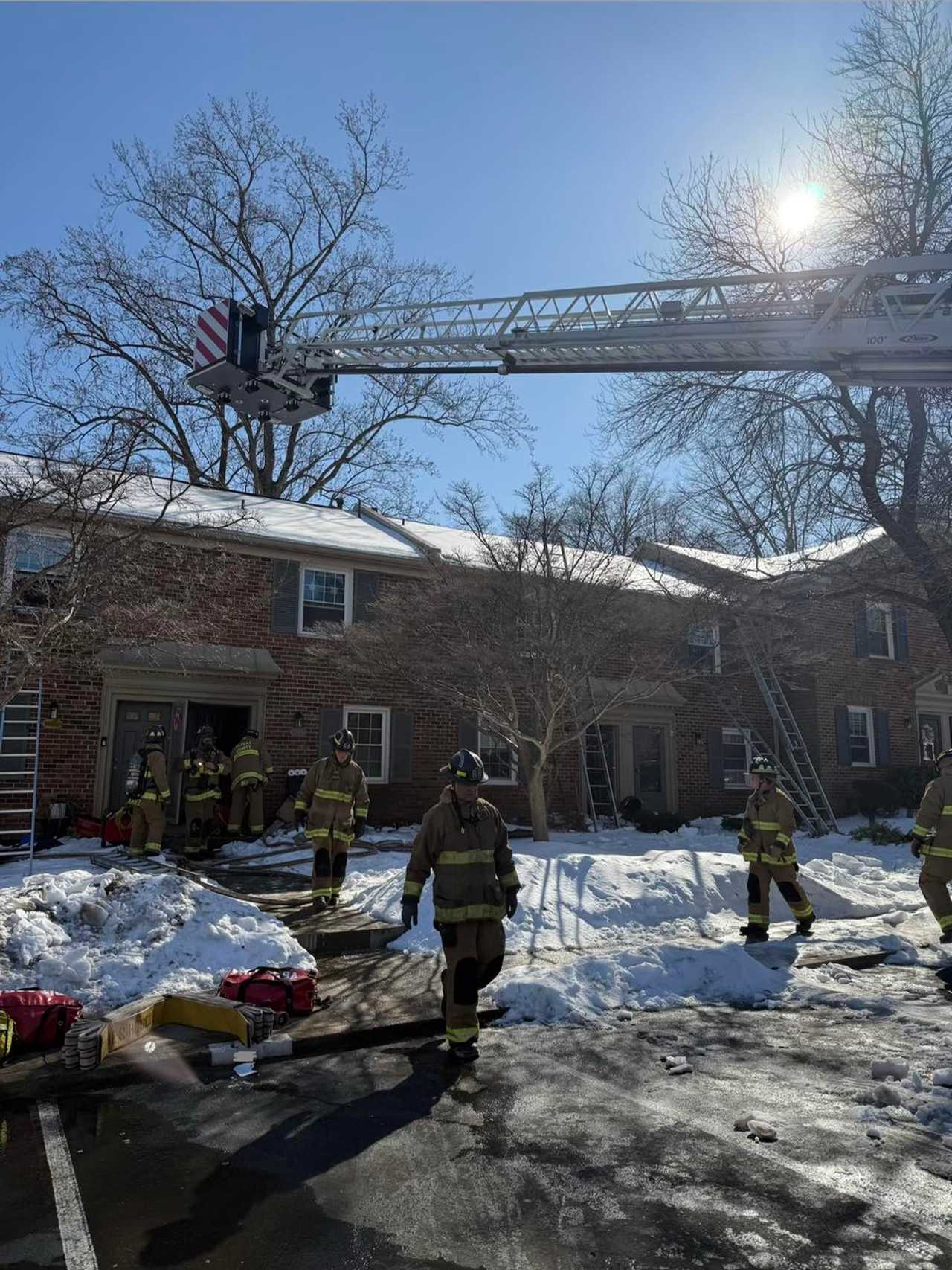 Two dogs dead after basement fire rips through Virginia townhouse