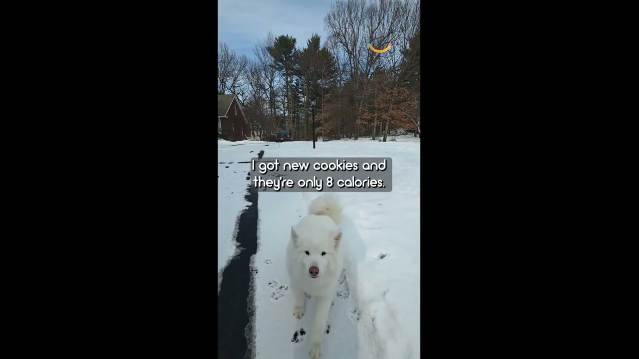 FedEx driver builds wholesome relationship with neighborhood dog ...