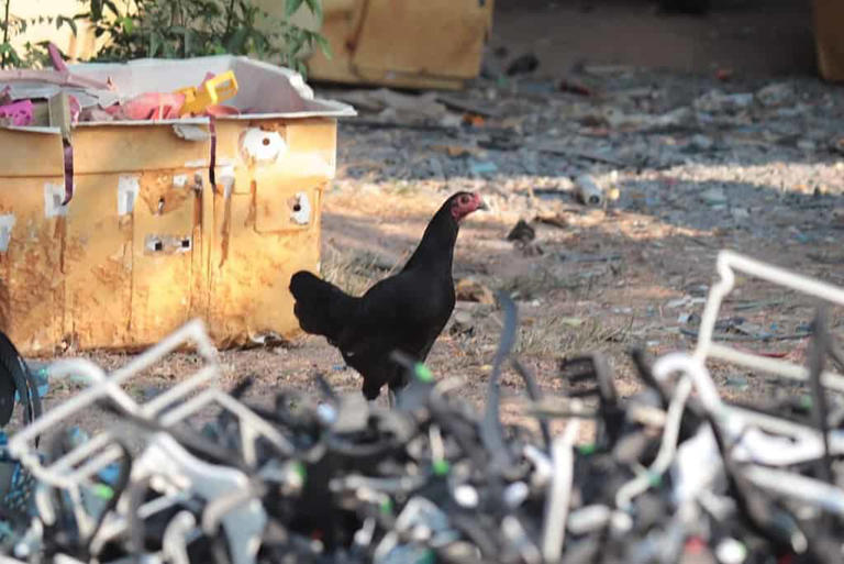 Energy poverty is forcing millions of families to burn toxic plastic ...