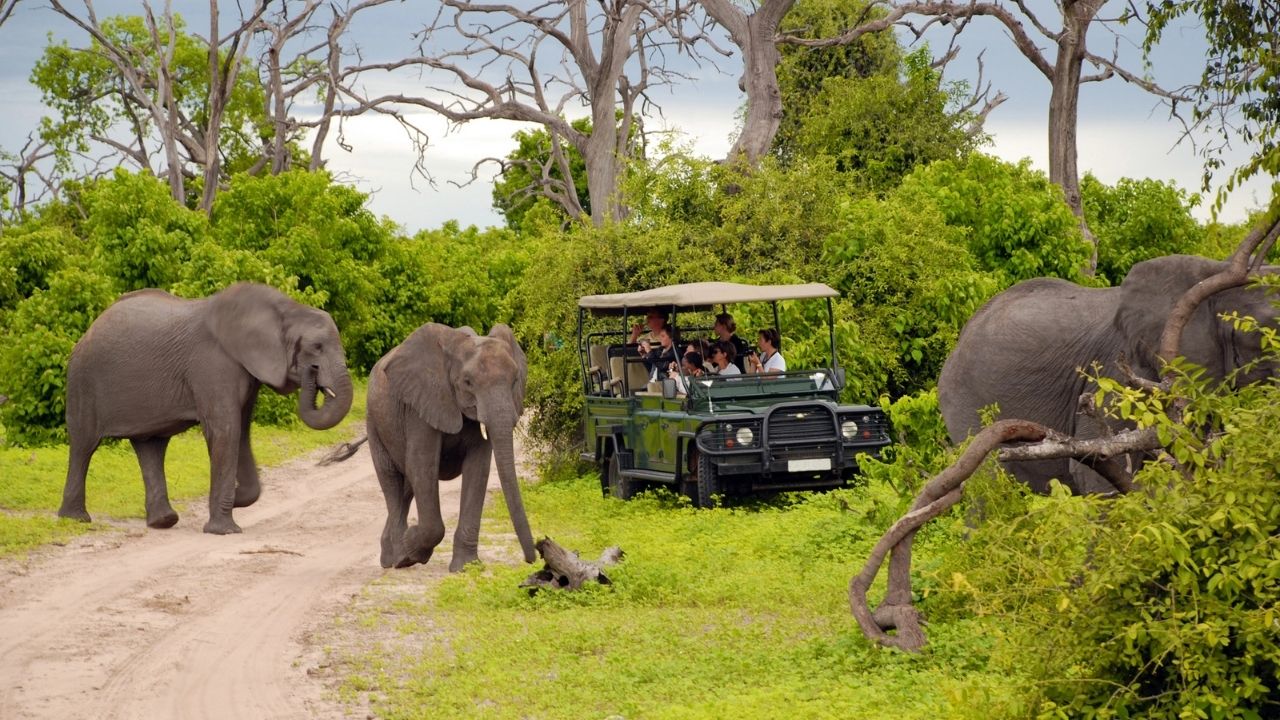 These are the best safaris in the world, according to a new study