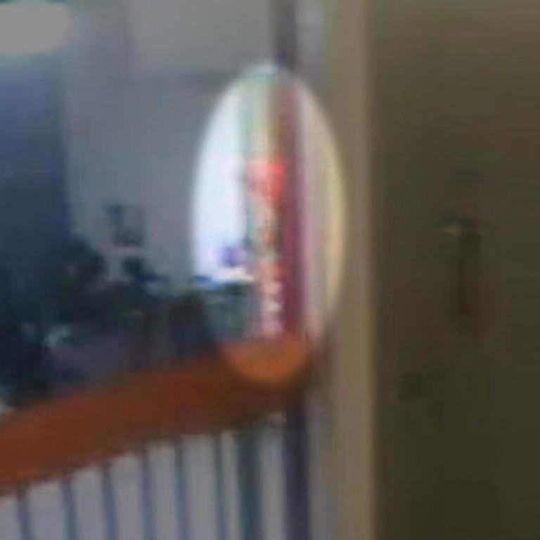 Correction officer testifies she was not the orange shape seen near ...