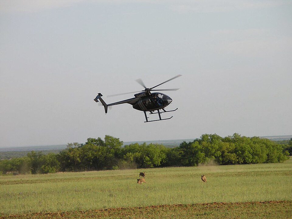 Hog hunters agree that these 5 cartridges get the job done