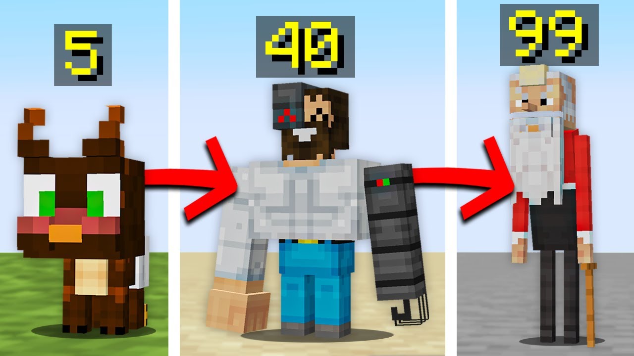 Minecraft, but at different ages